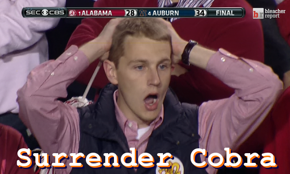Best Surrender Cobras of 2014-2015 : CFB